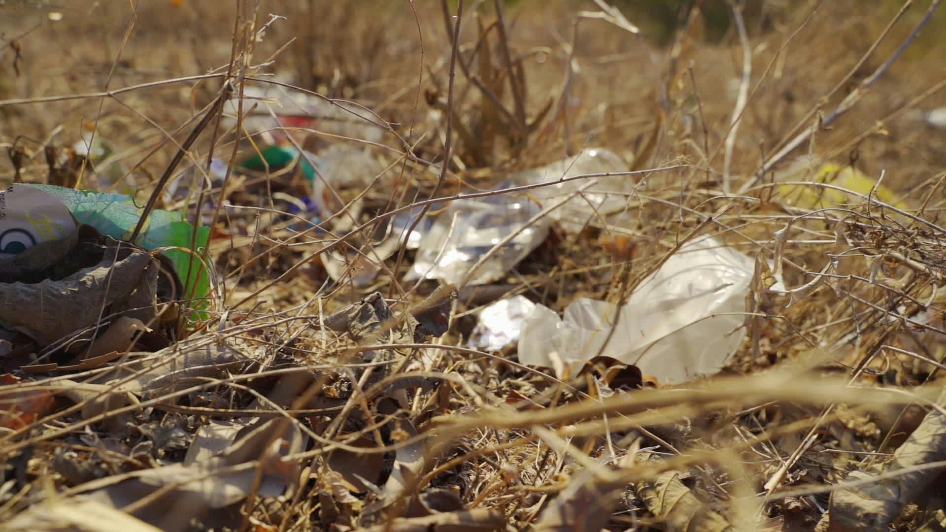 Discover trash, a story-driven footage | Artlist