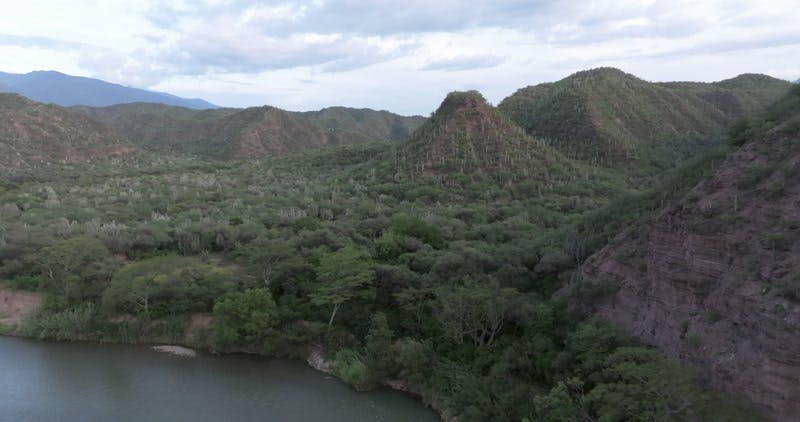 Biosphere Reserve, National Reserve, Mexico, Tehuacan Biosphere Reserve ...