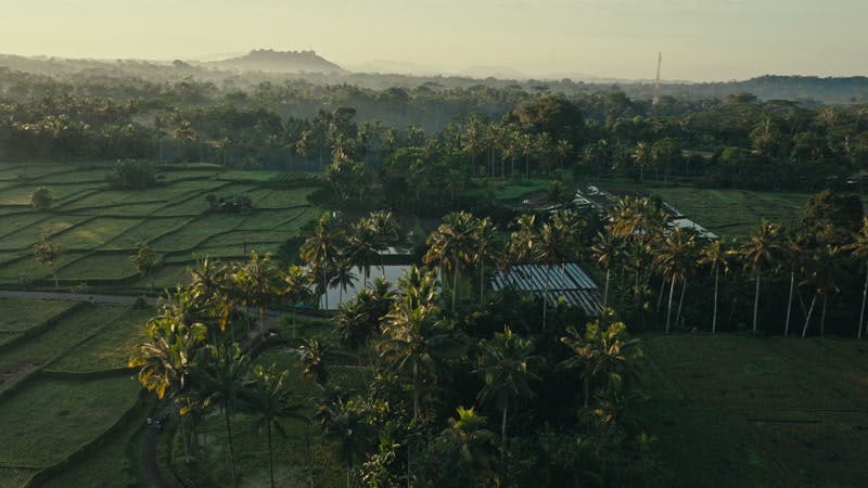 Village, Sun Rays, Bali, Palm Trees by Luca Epifani – Stock Footage ...