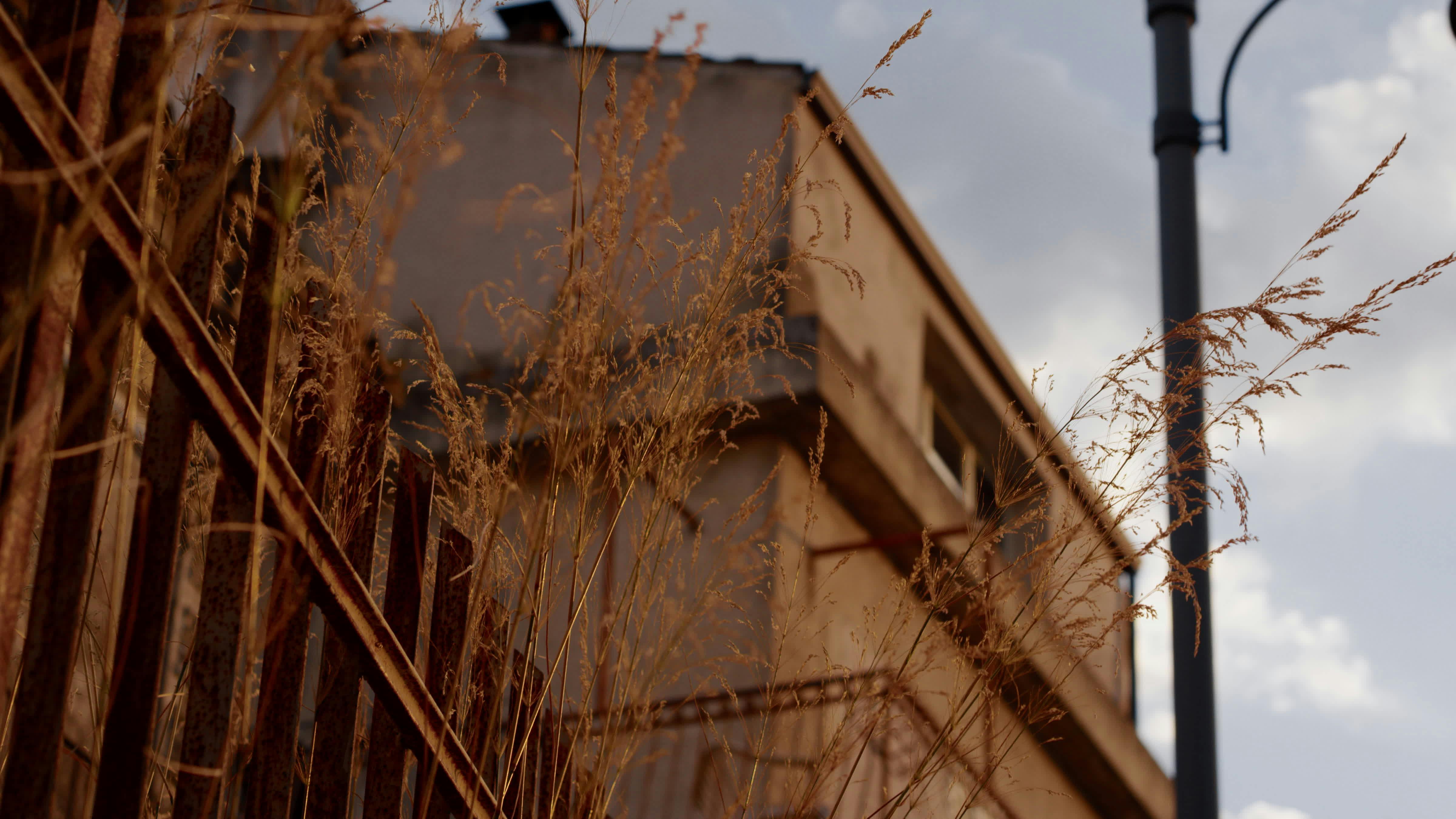 Discover italy-vibes, a story-driven footage | Artlist