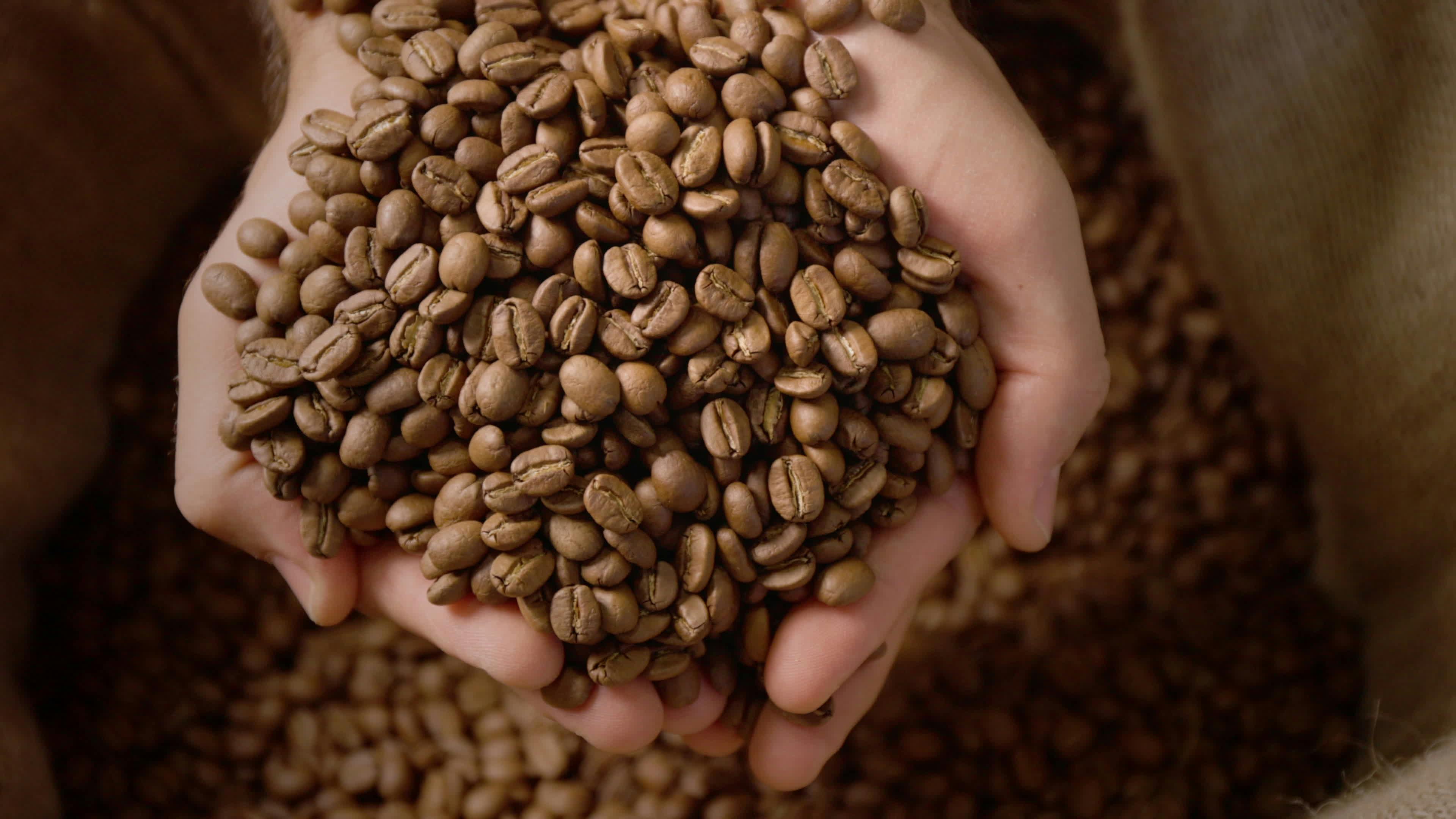 Discover roasting-coffee-beans, a story-driven footage | Artlist