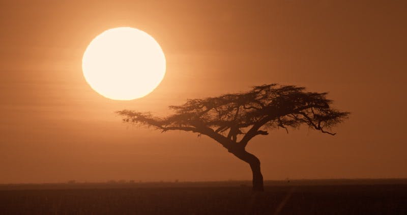 Sun, Africa, Kenya, Dusk by Stand Up for Nature – Stock Footage | Artlist