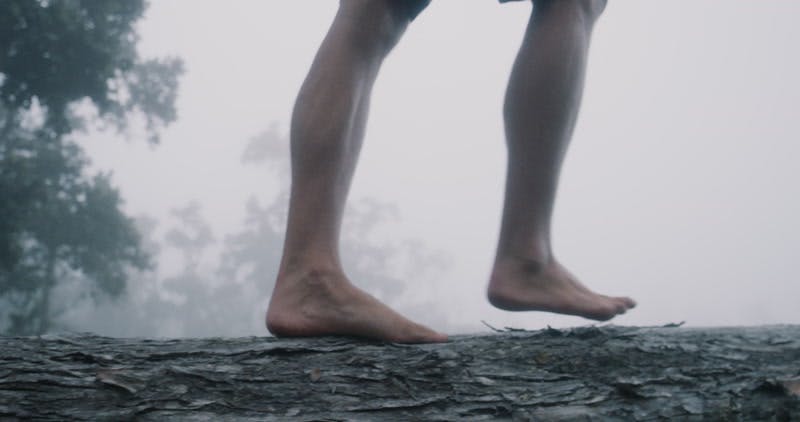 Tree, Legs, Wandering, Walking by Jakob Owens – Stock Footage | Artlist