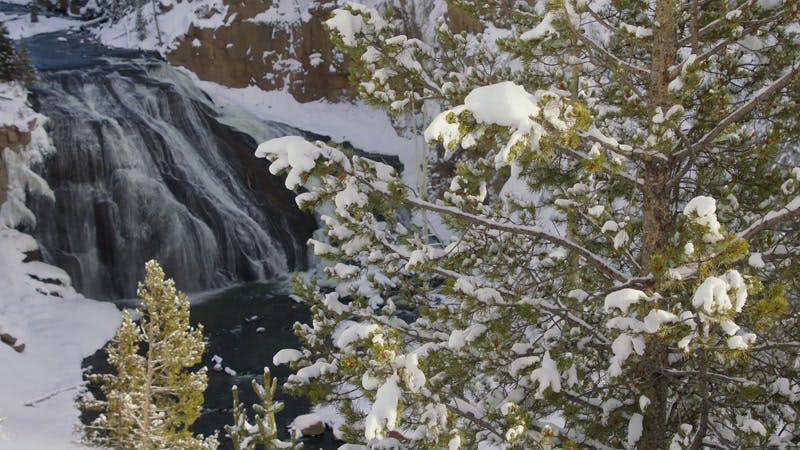 Snow, Branches, Pine Tree, Waterfall by Tanner Fowler – Stock Footage ...