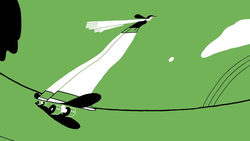 Woman, Skateboard, Skating, Animation by Joao Lavieri – Stock Footage