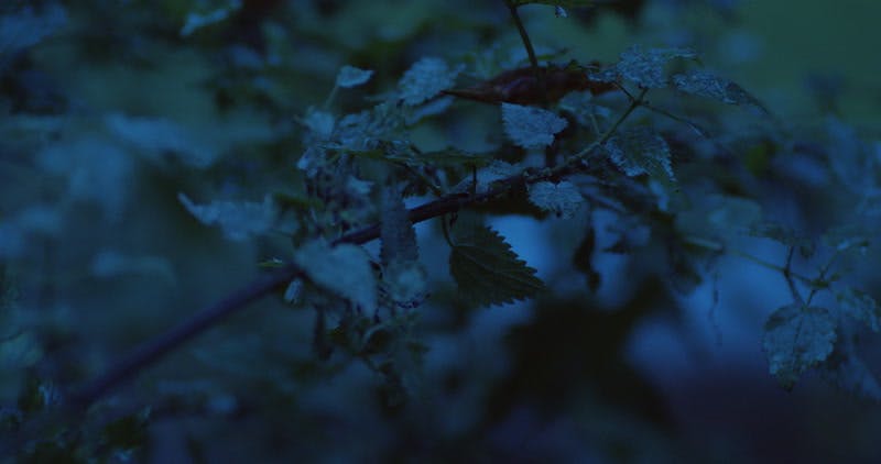 Grotesque, Weird, Water, Strange by LACOFILMS – Stock Footage | Artlist