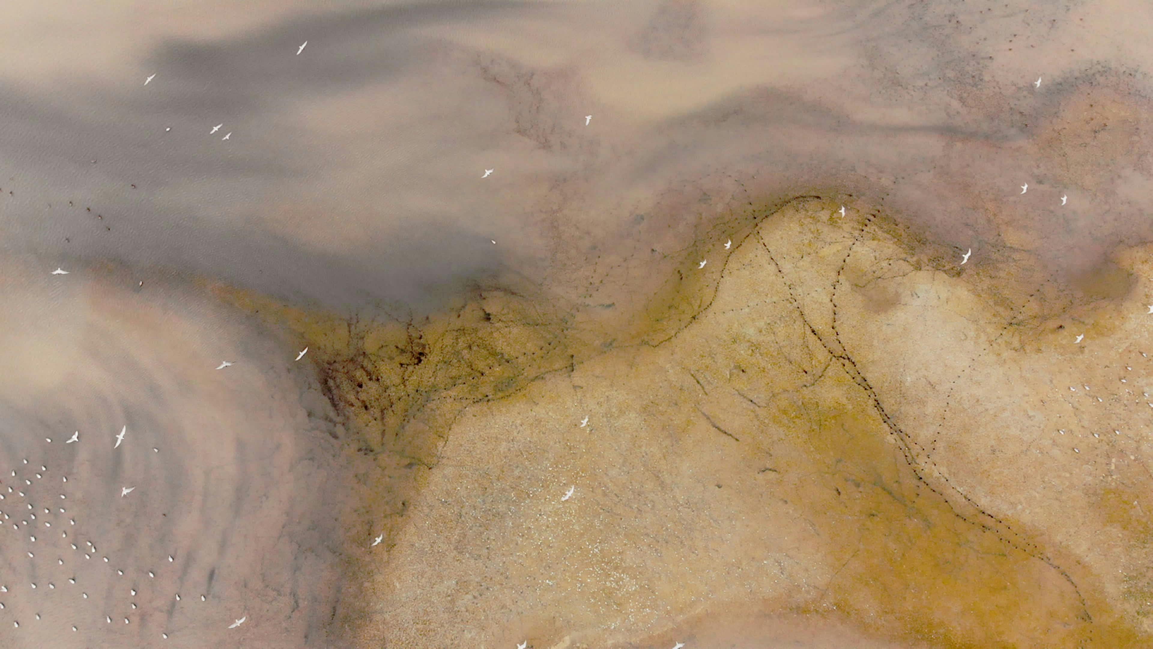 Discover ecosystem-pattern, a story-driven footage | Artlist