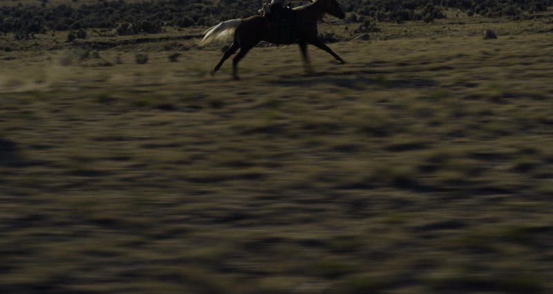 Riding, Cowgirl, Fast, Countryside by Calen Albert – Stock Footage ...