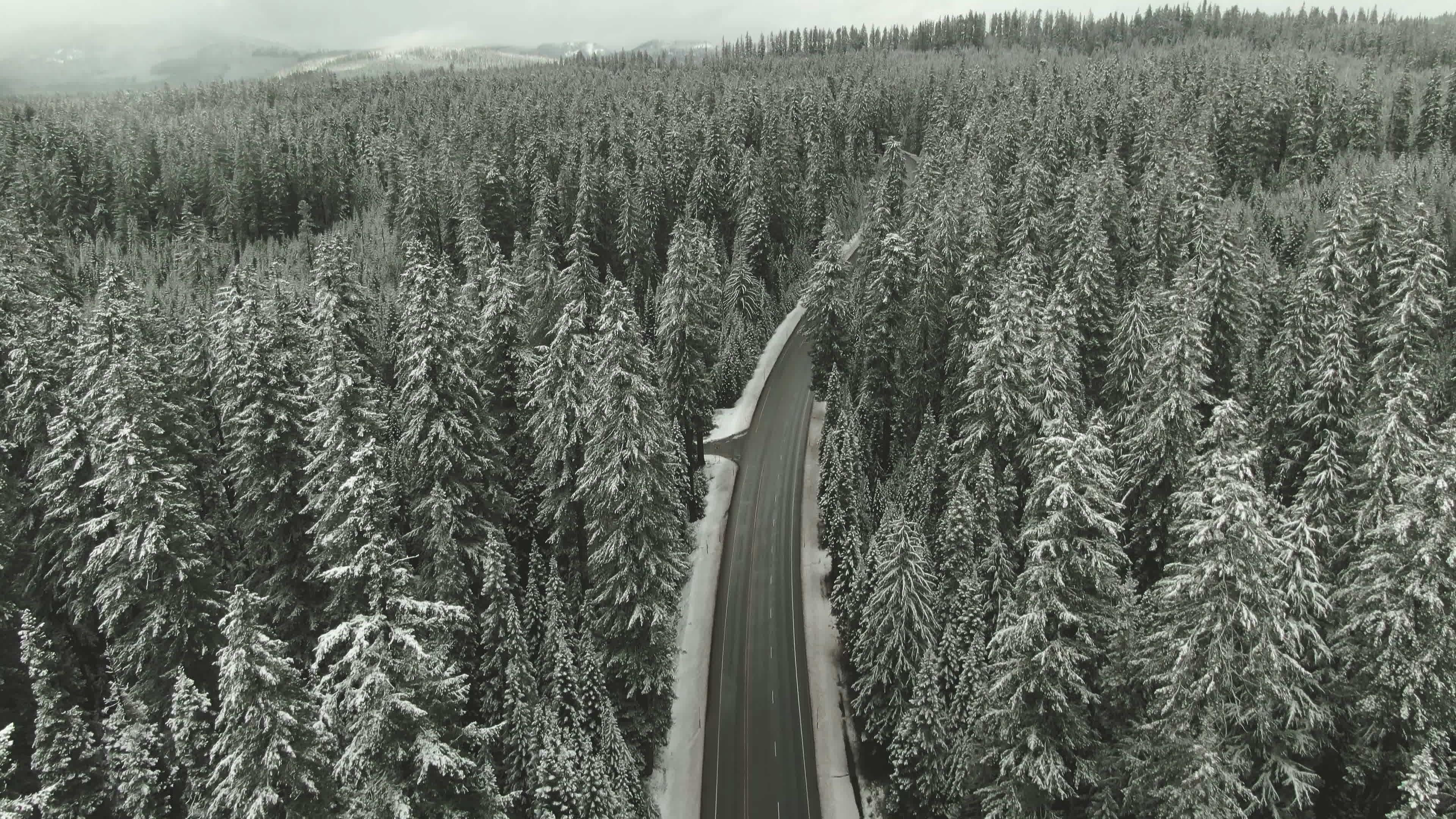 Discover crossing-snowing-forest-aerials, a story-driven footage | Artlist