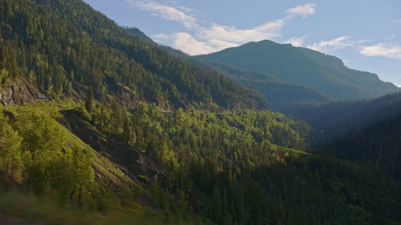 Forest, Drive, Ride, Road by Tanner Fowler – Stock Footage | Artlist