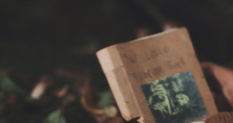 Hand, Mycology, Fungi, Cover by Hans Peter Schepp – Stock Footage | Artlist