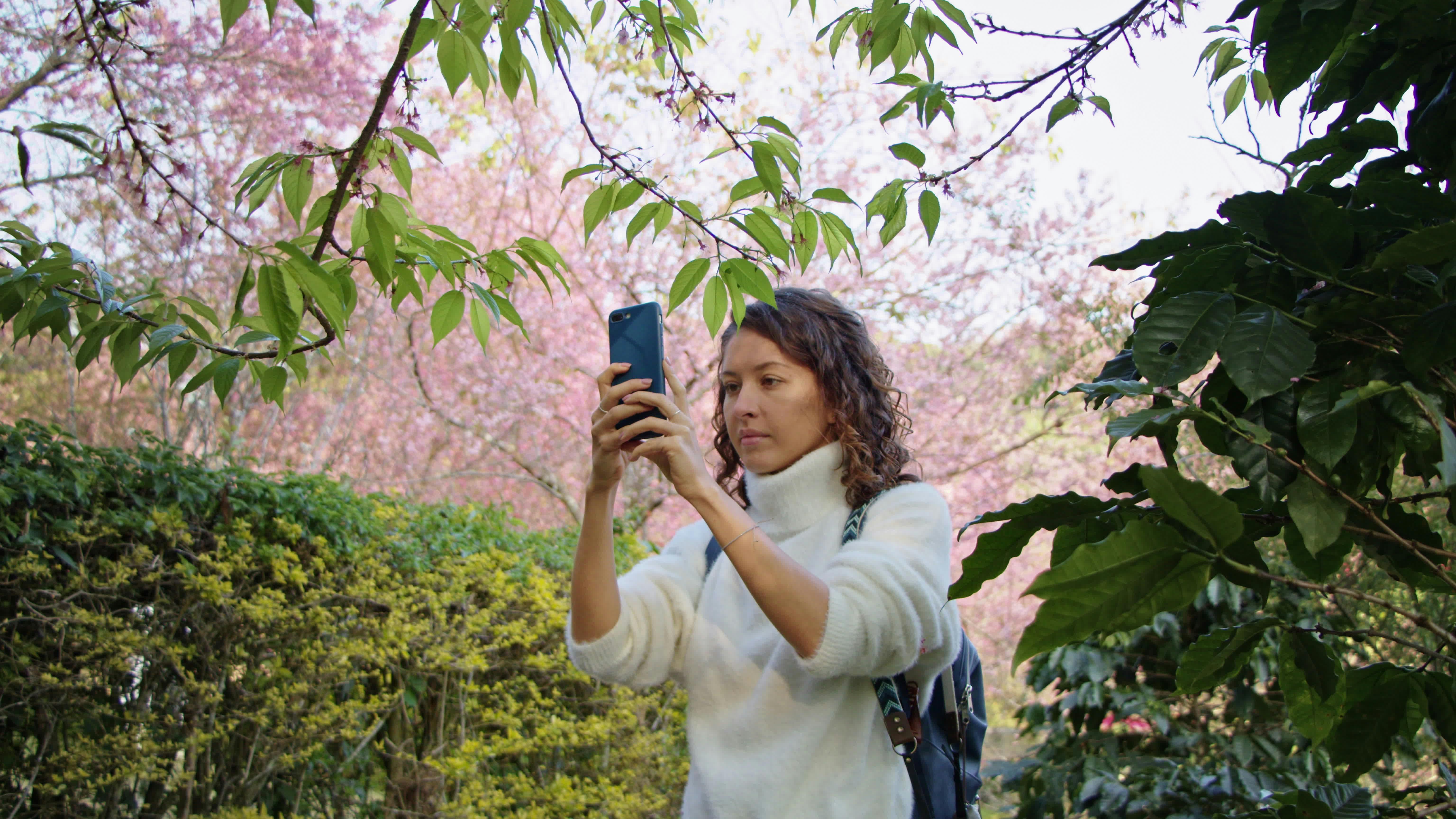 Discover woman-enjoying-cherry-blossom, a story-driven footage | Artlist