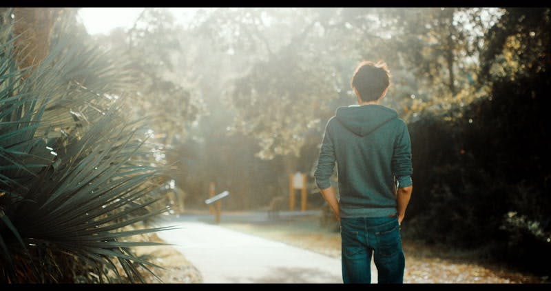 Man, Glare, Sunshine, Park by Mike Kozlenko – Stock Footage | Artlist