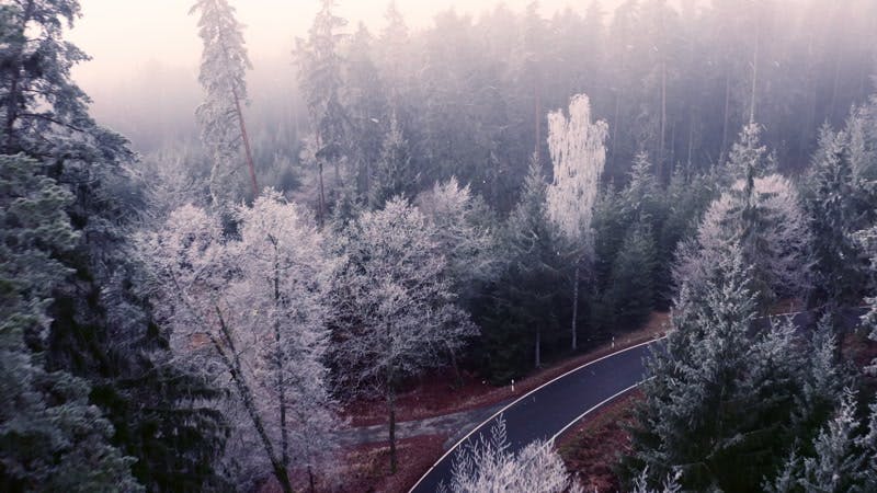 Mist, Snowflakes, Winter, Tree Tops by Jacco Kliesch – Stock Footage ...