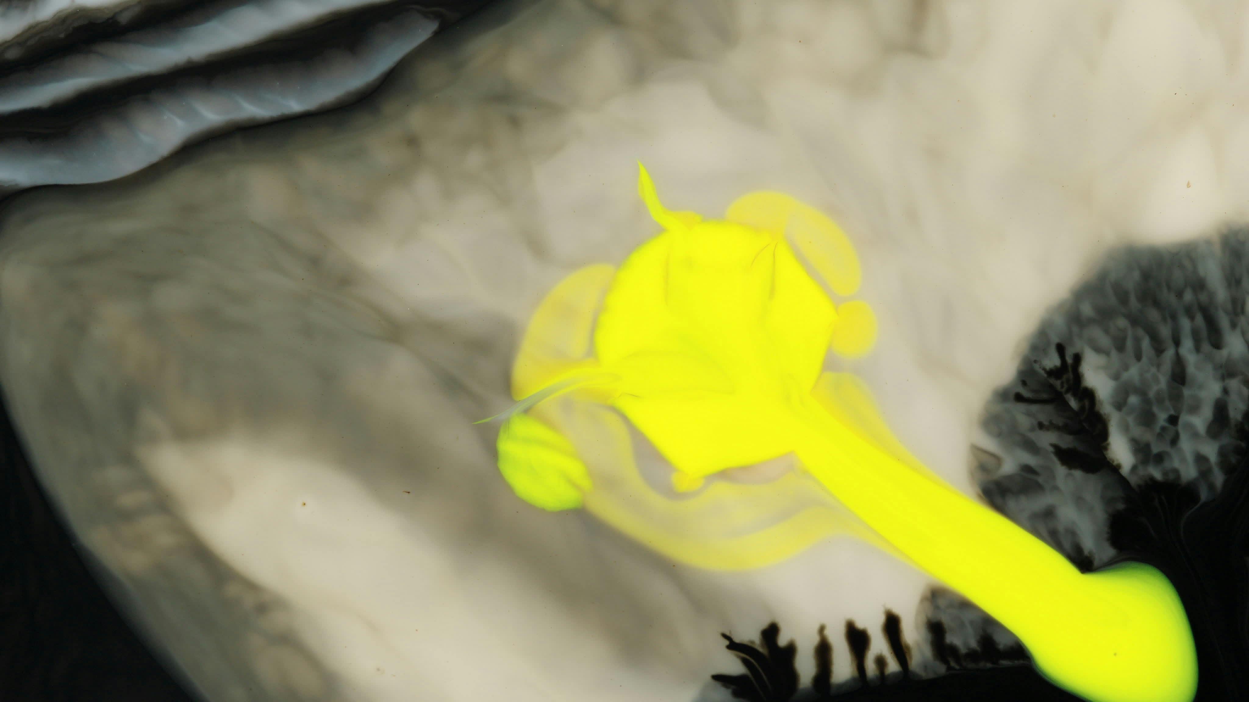 Discover dynamic-fluid-expansion, a story-driven footage | Artlist