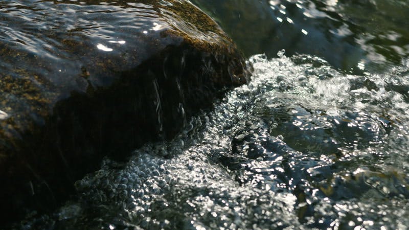 Water, Clear, Stream, River by Wilson Streibig – Stock Footage | Artlist