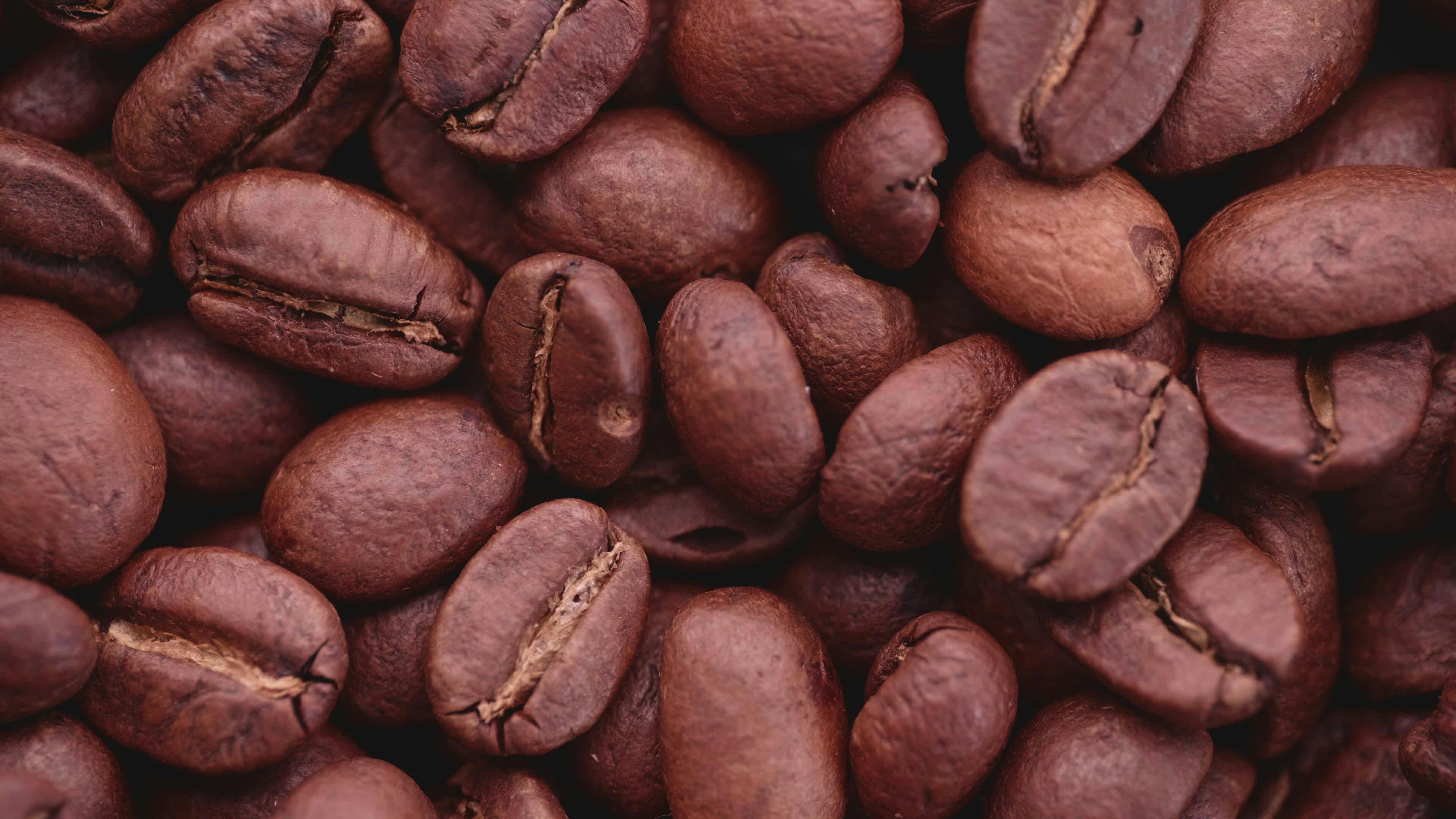 Discover coffee-beans, a story-driven footage | Artlist