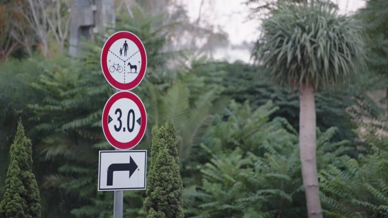 Ferns, Vegetation, Trees, Traffic Signs by Ami Bornstein – Stock ...