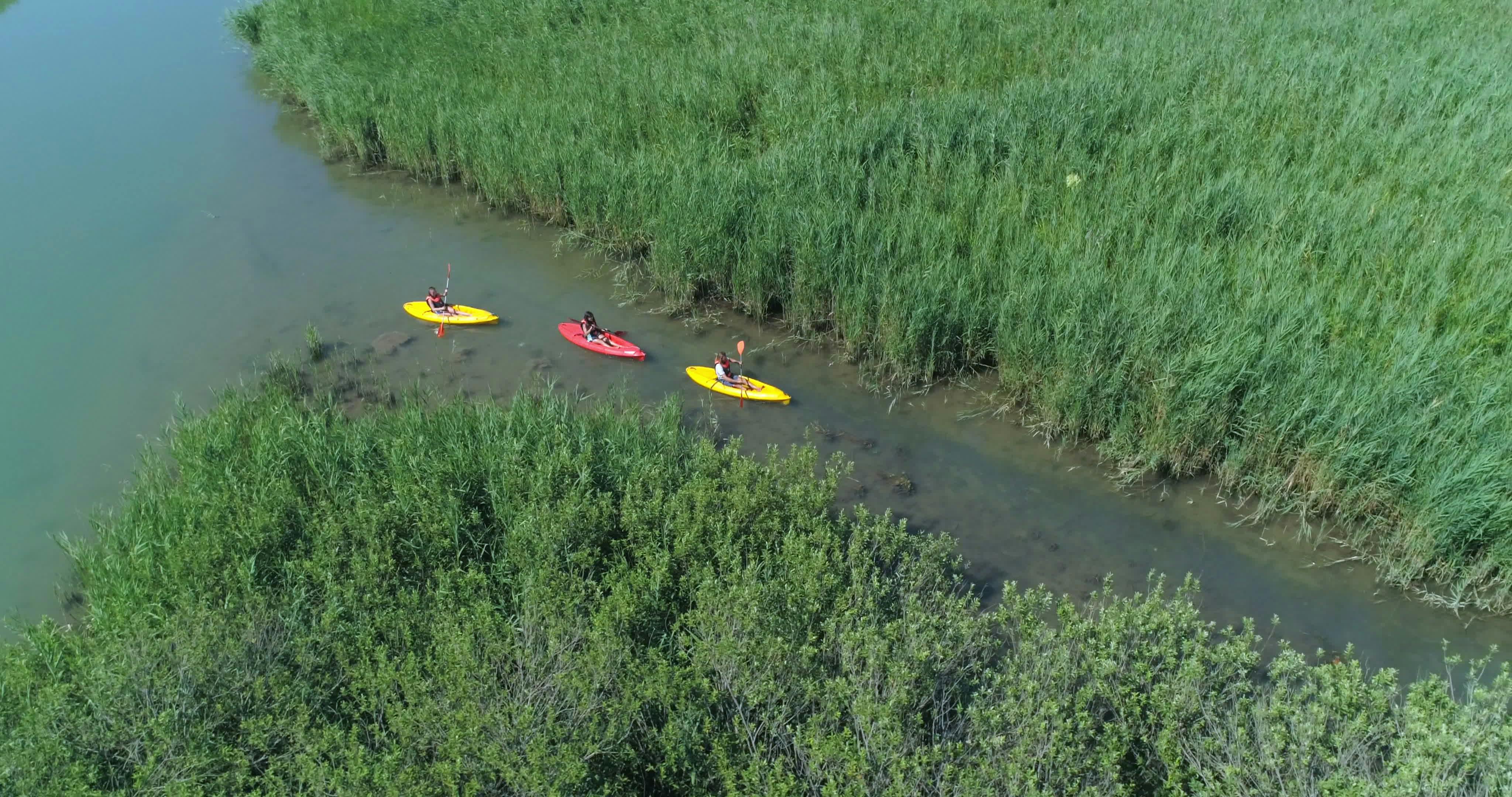 Discover canoe-excursion-with-friends, a story-driven footage | Artlist