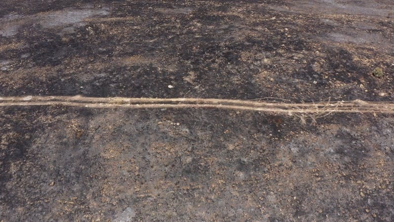 Path, Earth, Ecosystem, Scorched by Lior Patel – Stock Footage | Artlist