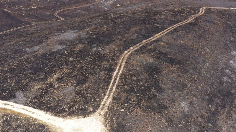 Ground, Burnt, Scorched, Ecosystem by Lior Patel – Stock Footage | Artlist