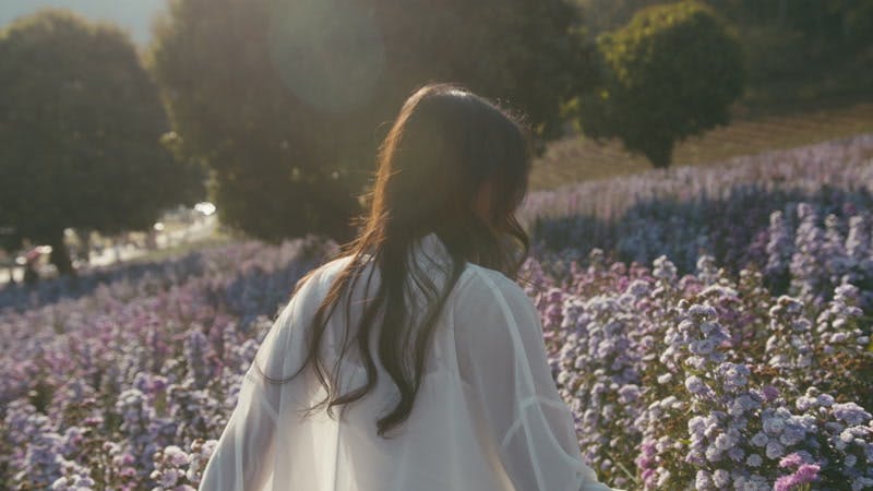Tracking Shot, Field, Flowers, Walking by Roma Black – Stock Footage ...